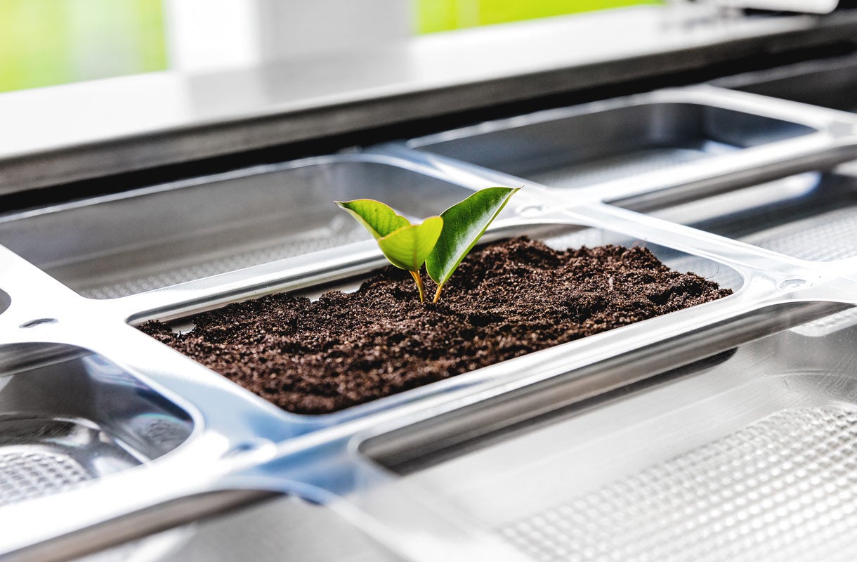 Packaging applications | MULTIVAC