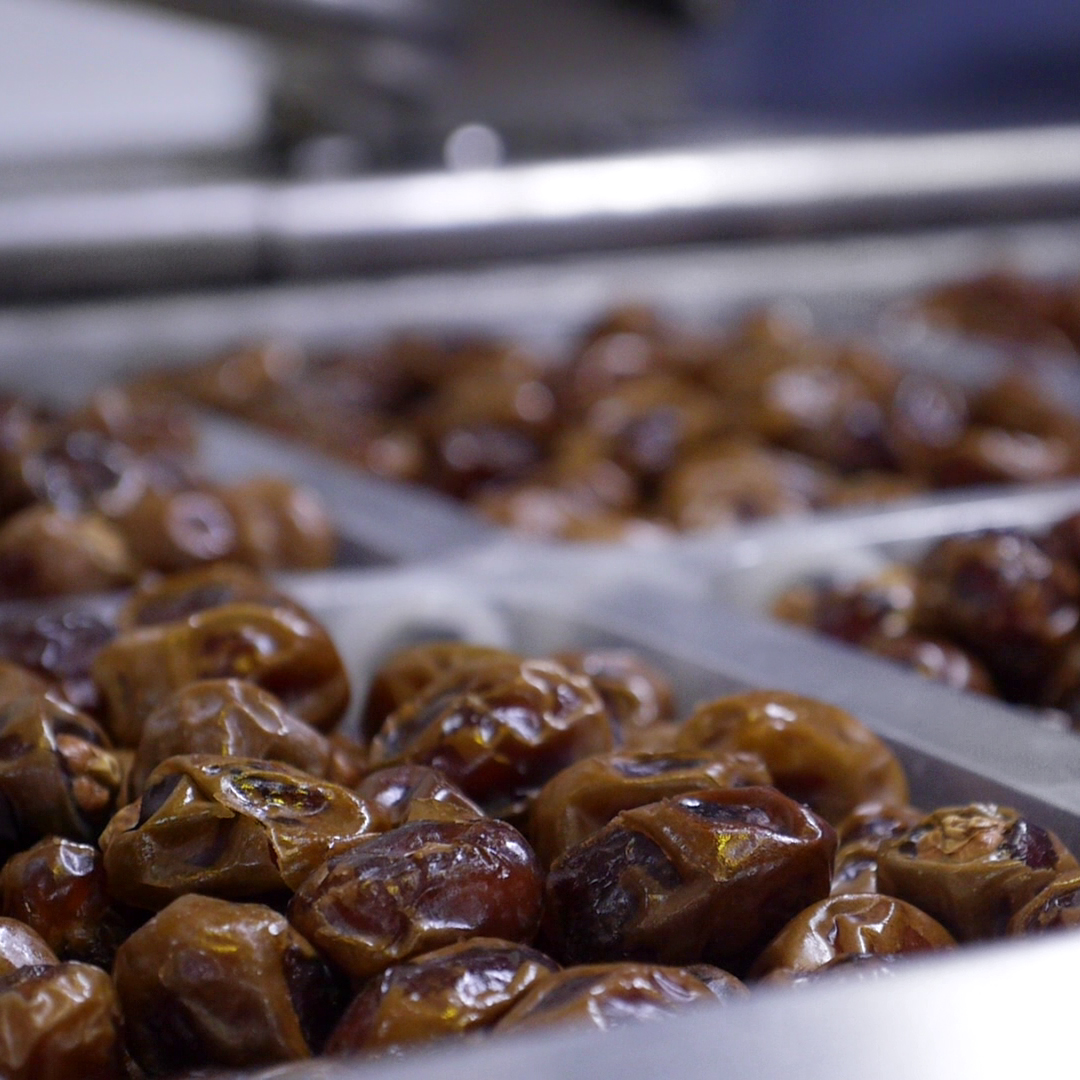 Shrink paketler | MULTIVAC