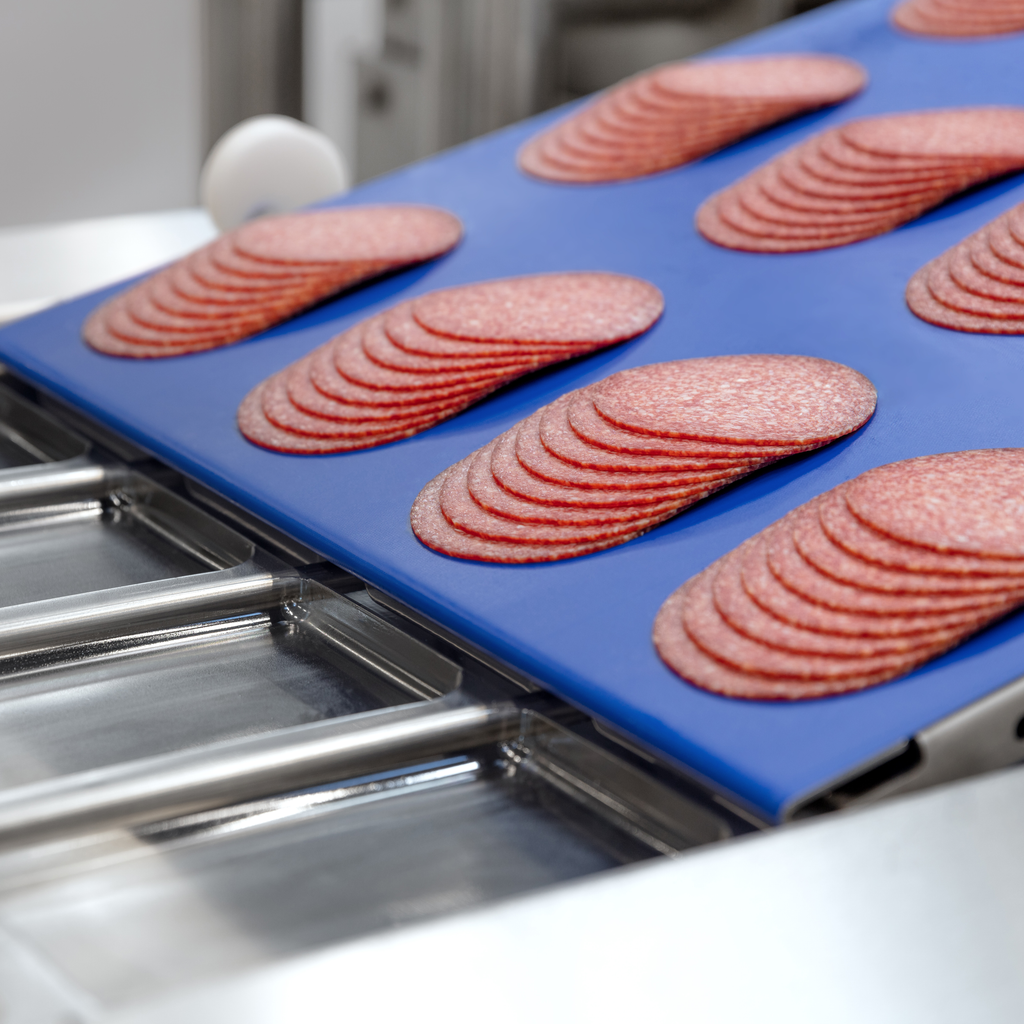 소시지 및 육류 제품 Multivac Verpackungsanlagen