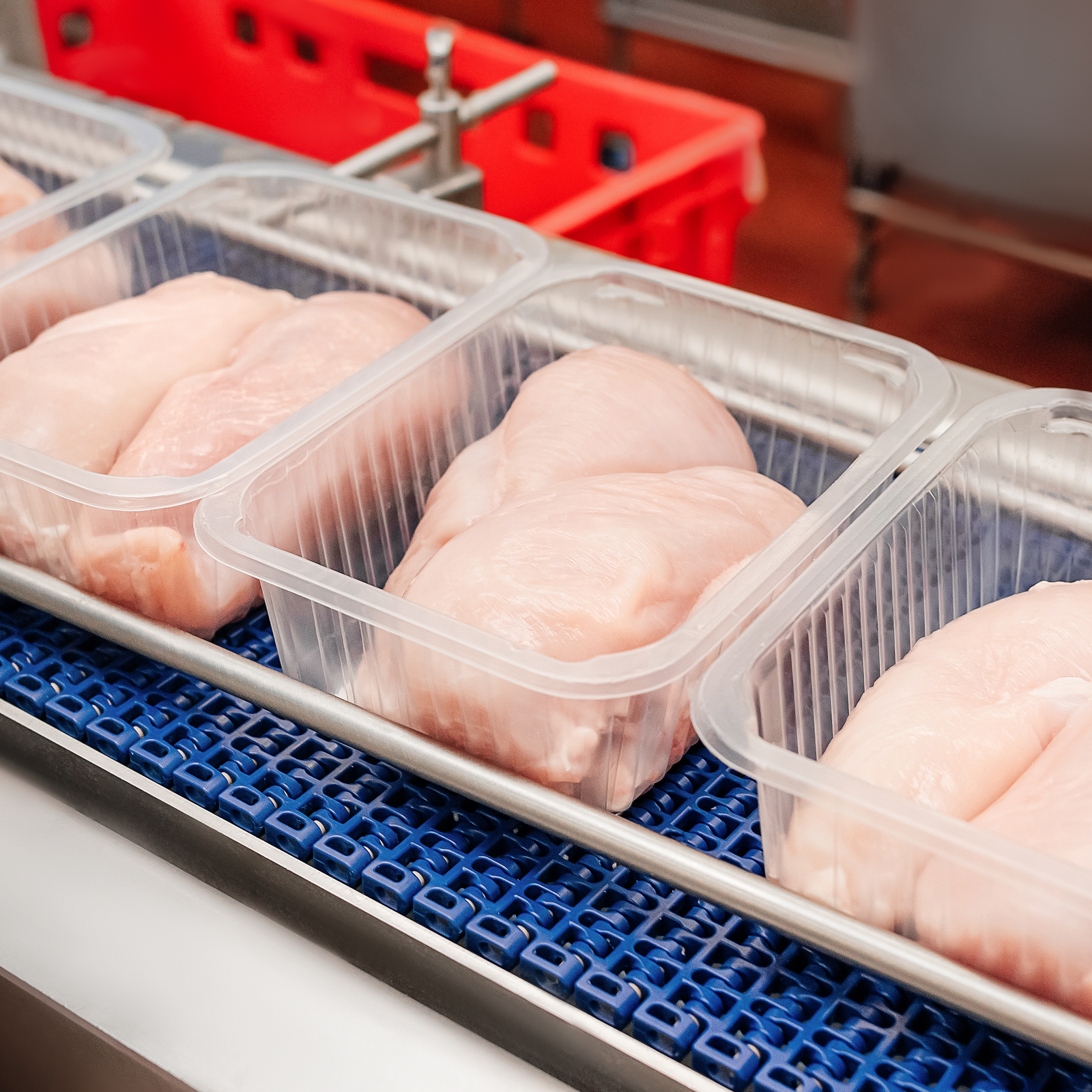 Poultry | MULTIVAC Verpackungsanlagen, sicher und effizient
