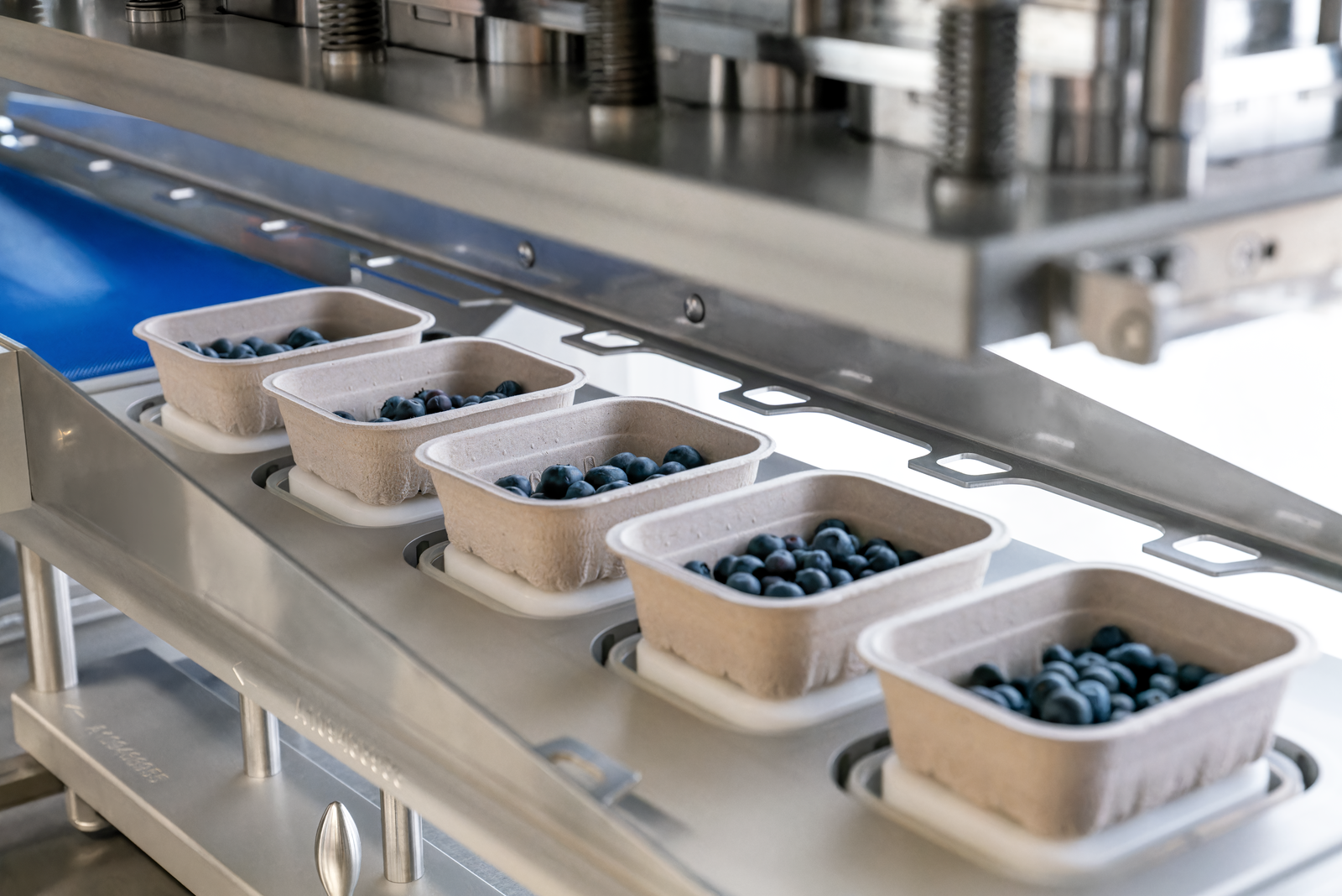 MULTIVAC Group