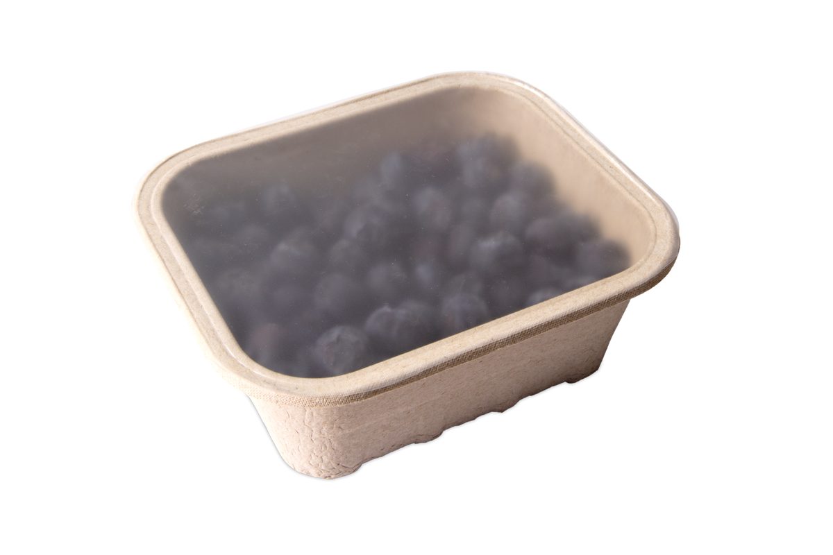 Packaging technology for a sustainable fruit trade in future | MULTIVAC