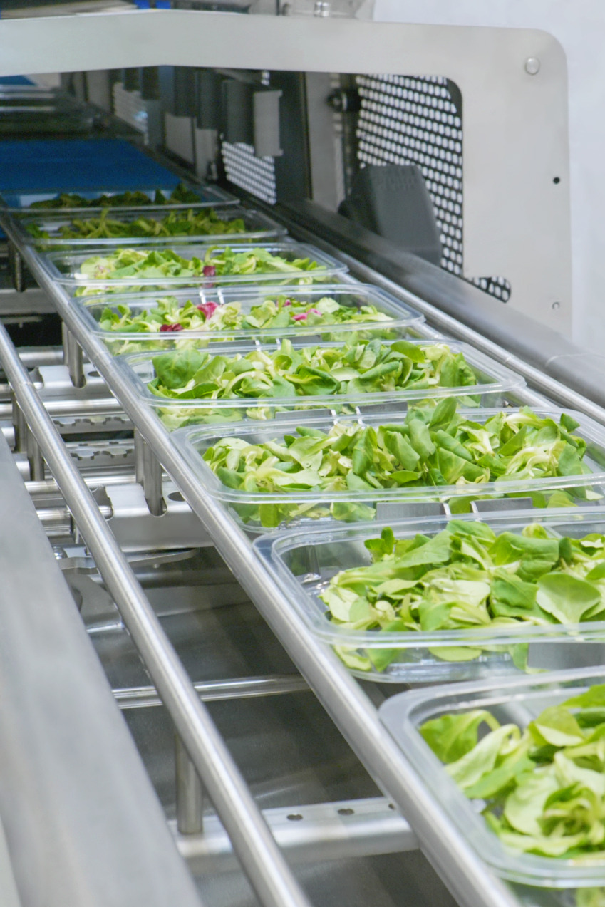 Fruit & vegetables | MULTIVAC nachhaltige Verpackungslösungen