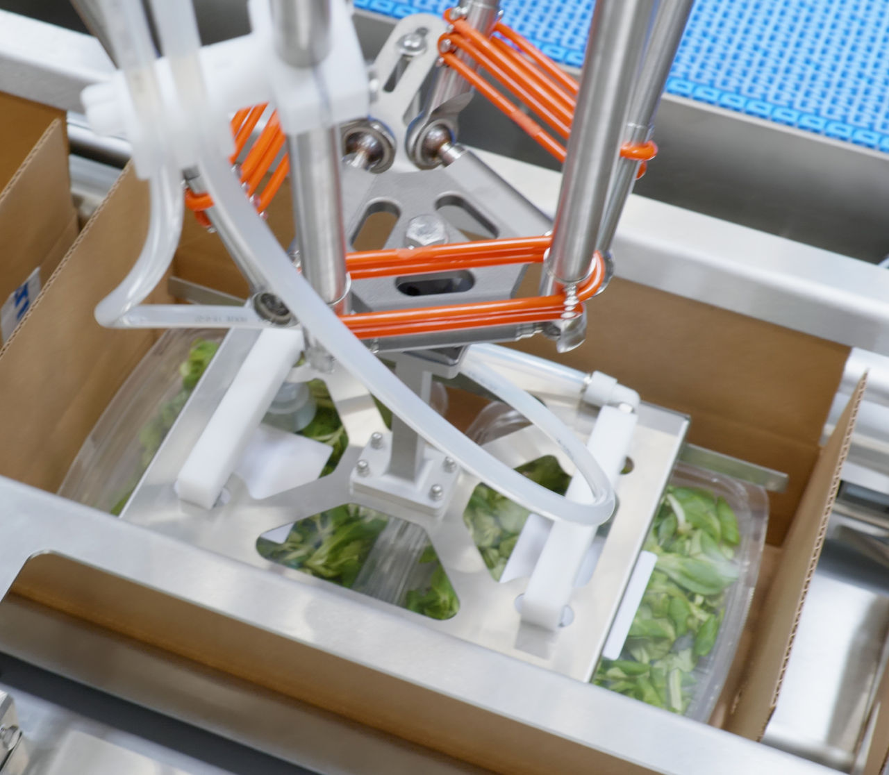 Case and Crate Loaders | MULTIVAC