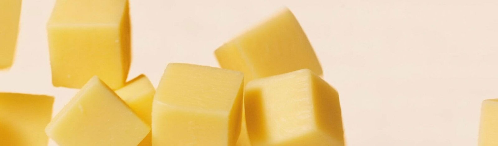 Cheese production and the cloud | MULTIVAC