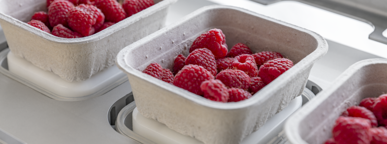 Less food wastage thanks to sustainable packaging and labelling ...