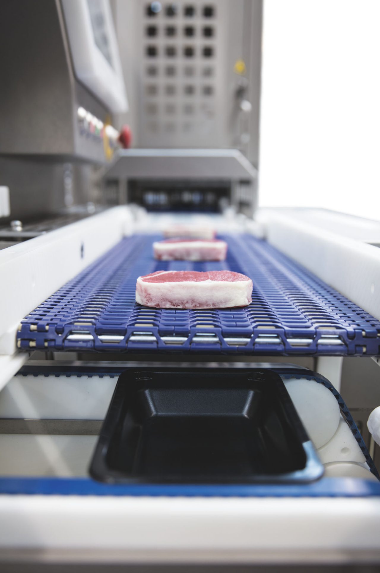 Aplicaciones para el porcionado | MULTIVAC