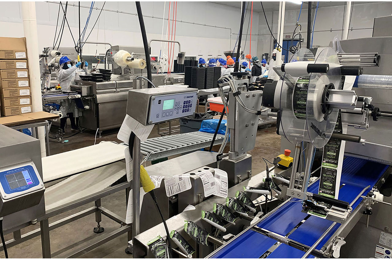 Networked, reliable and efficient: a new dimension in tray packaging ...