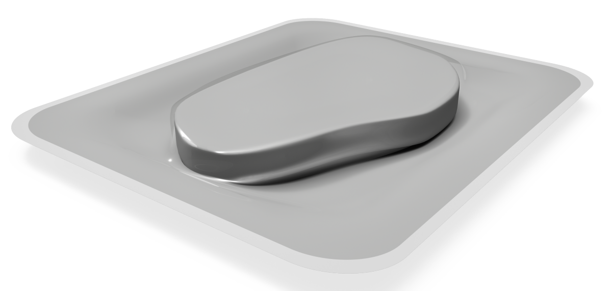 Vacuum packaging | MULTIVAC