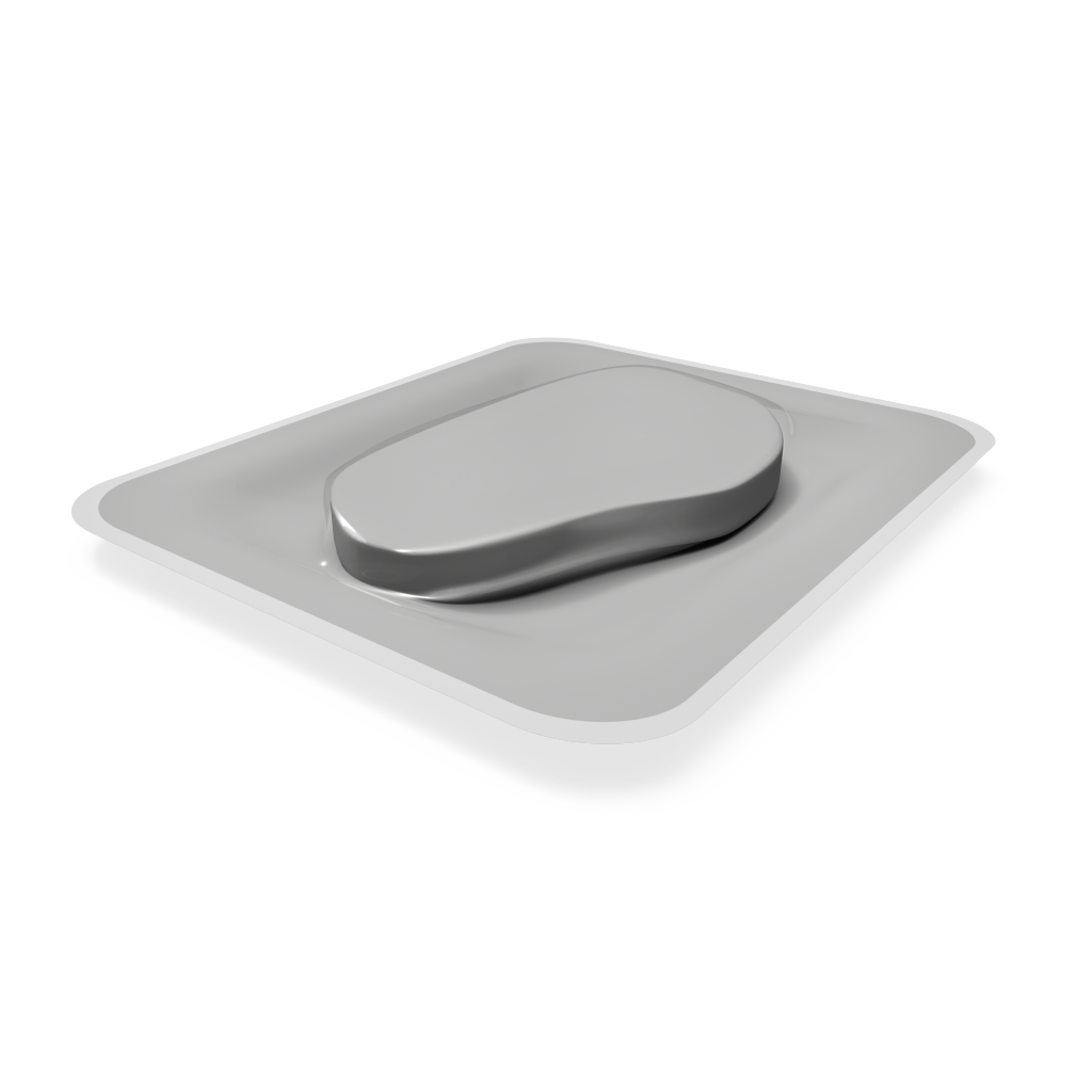 Vacuum packaging | MULTIVAC