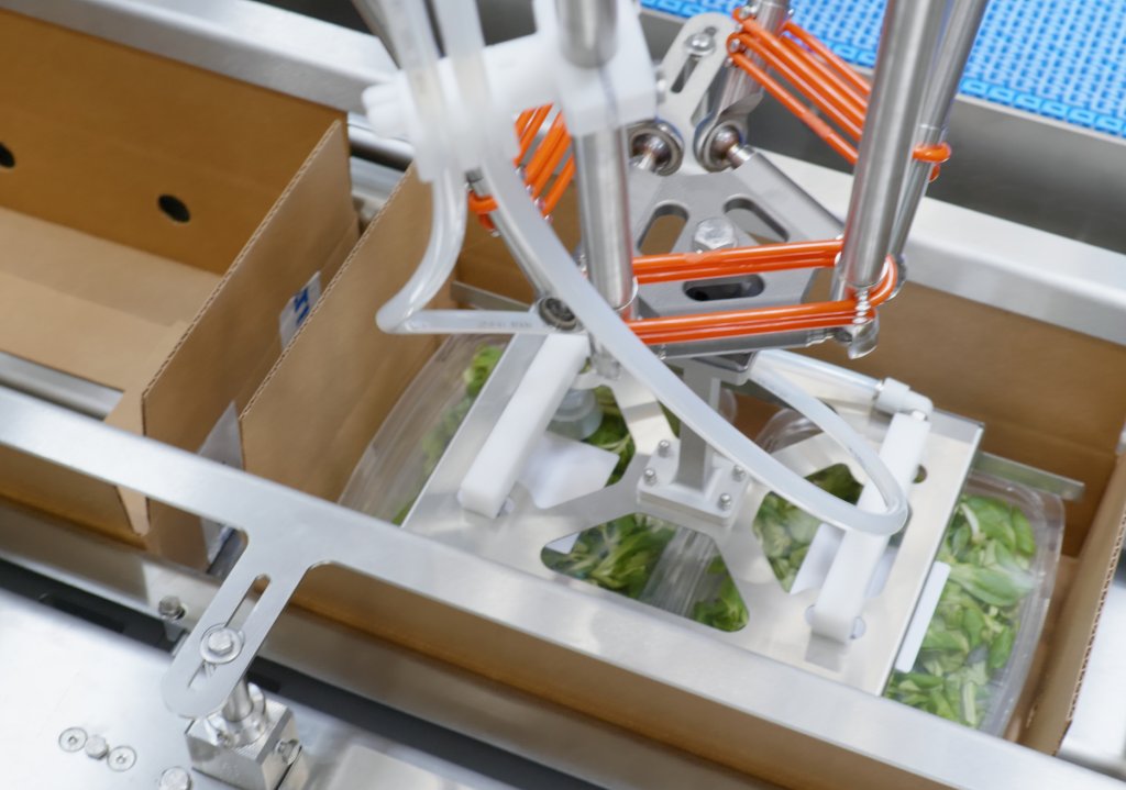 Secondary packaging | MULTIVAC