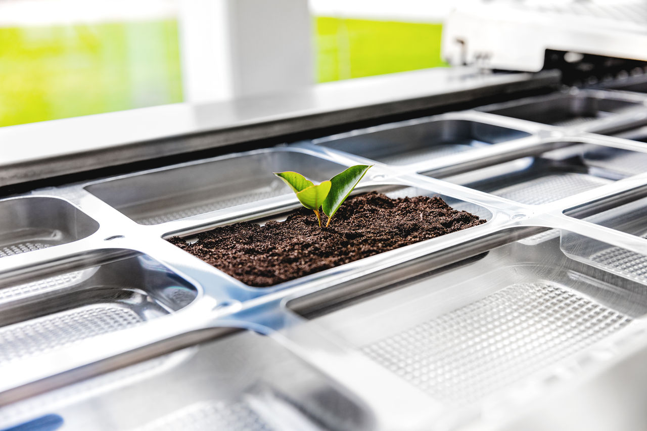 Packaging solutions | MULTIVAC